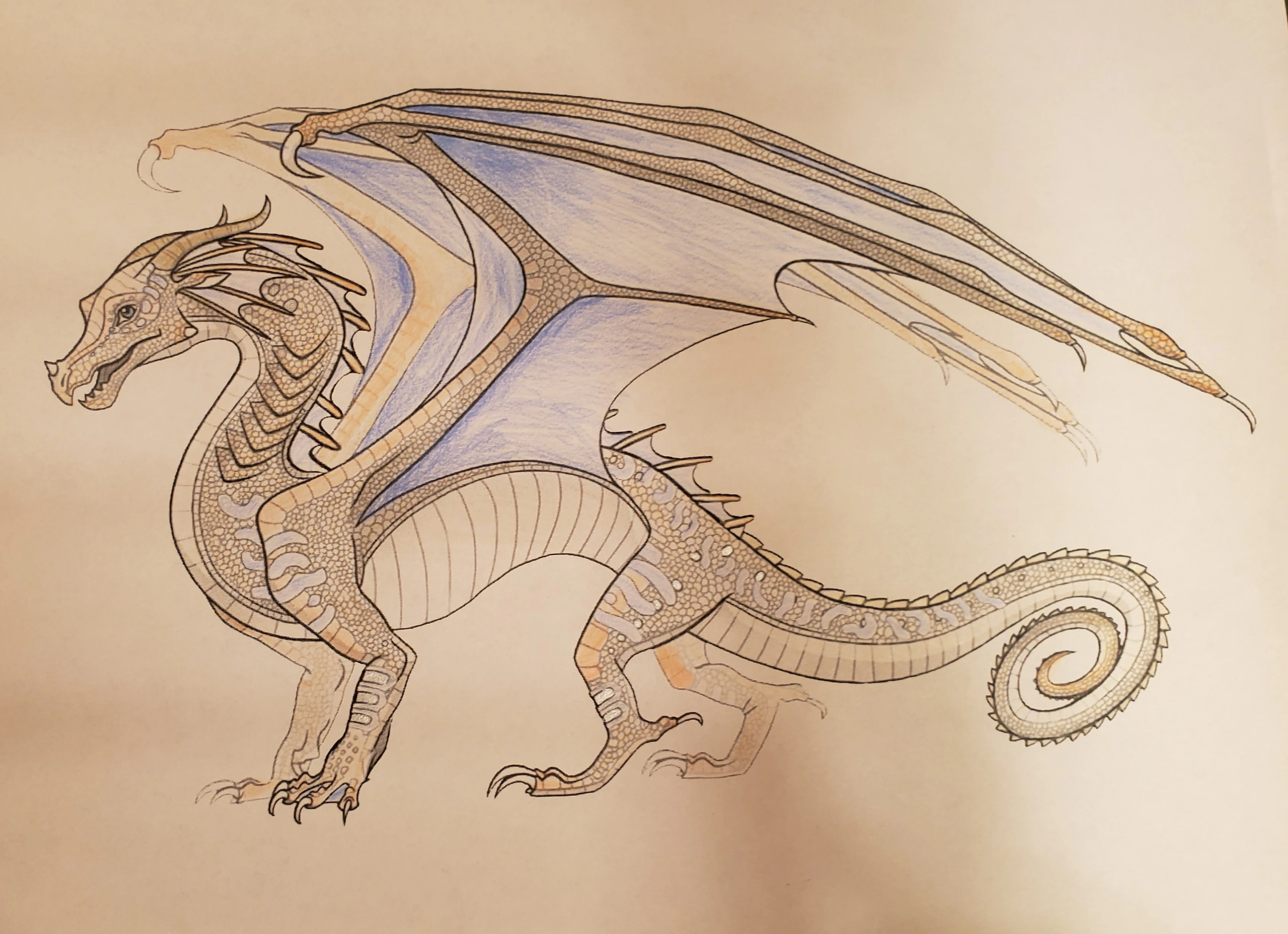 Wings Of Fire Rainwing