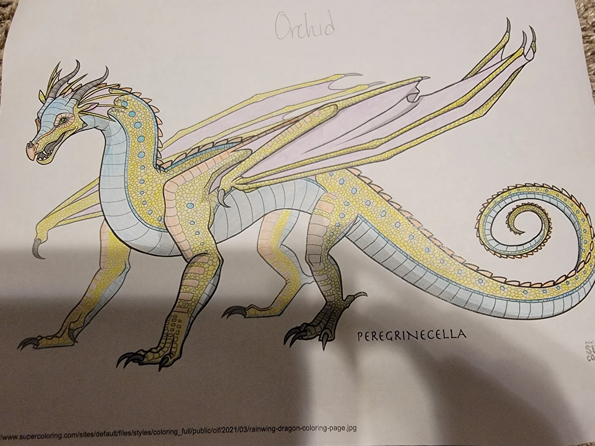 Princess Orchid | Wings of Fire Fanon Wiki | Fandom