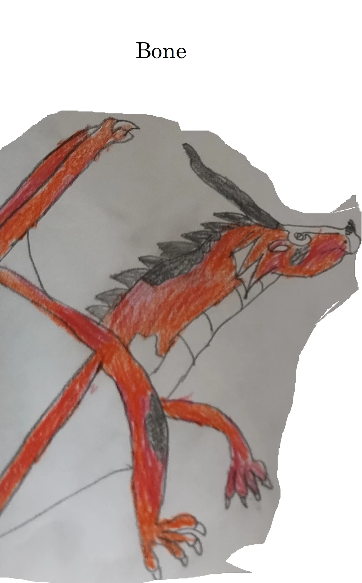 Bone the Rainwing | Wings of Fire Fanon Wiki | Fandom