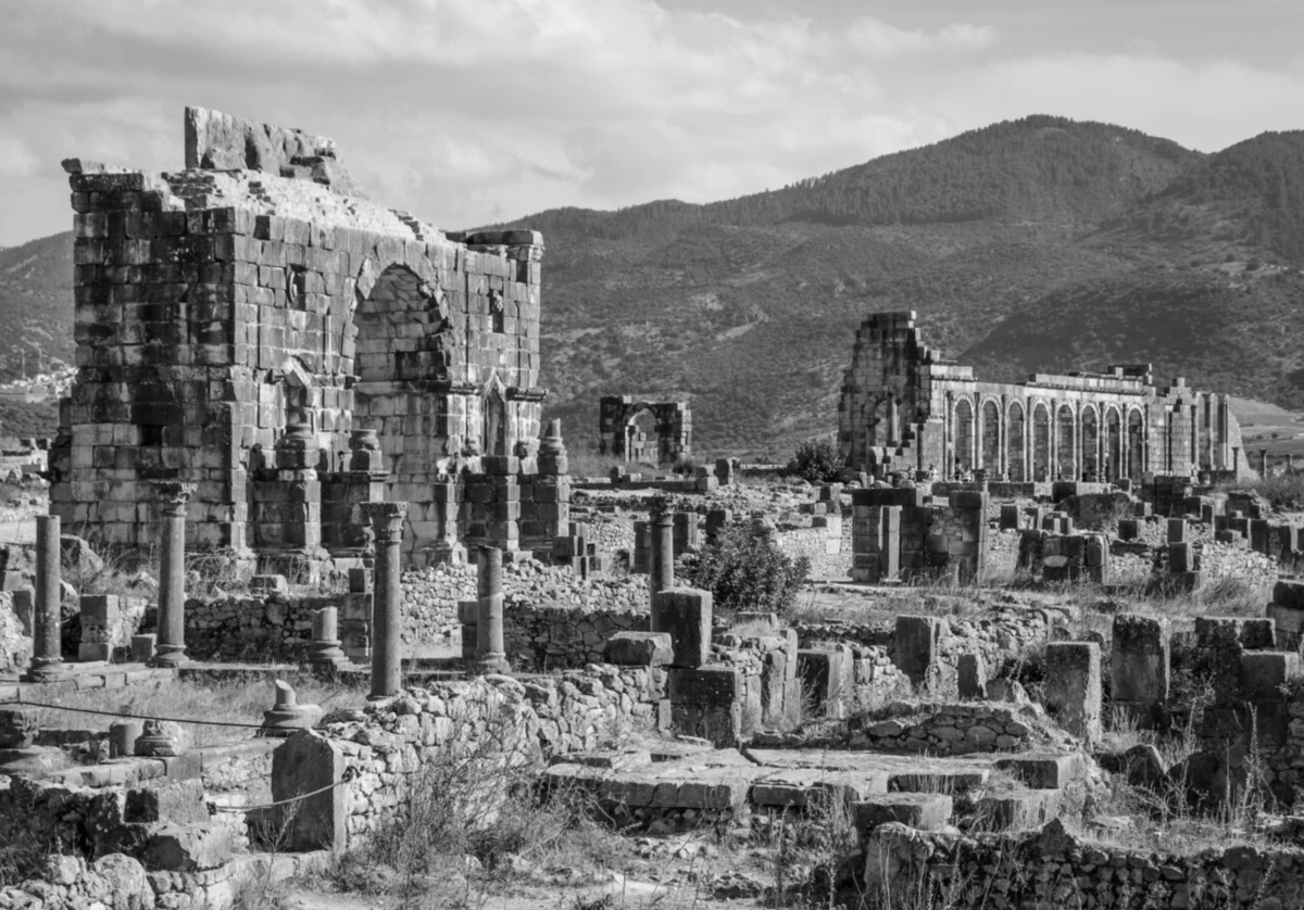 Fallenverse | Wings of Fire Fanon Wiki | Fandom