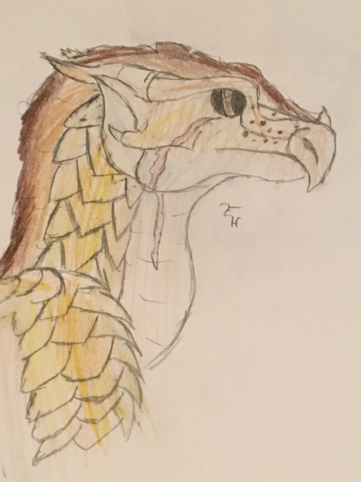 Scobis | Wings of Fire Fanon Wiki | Fandom
