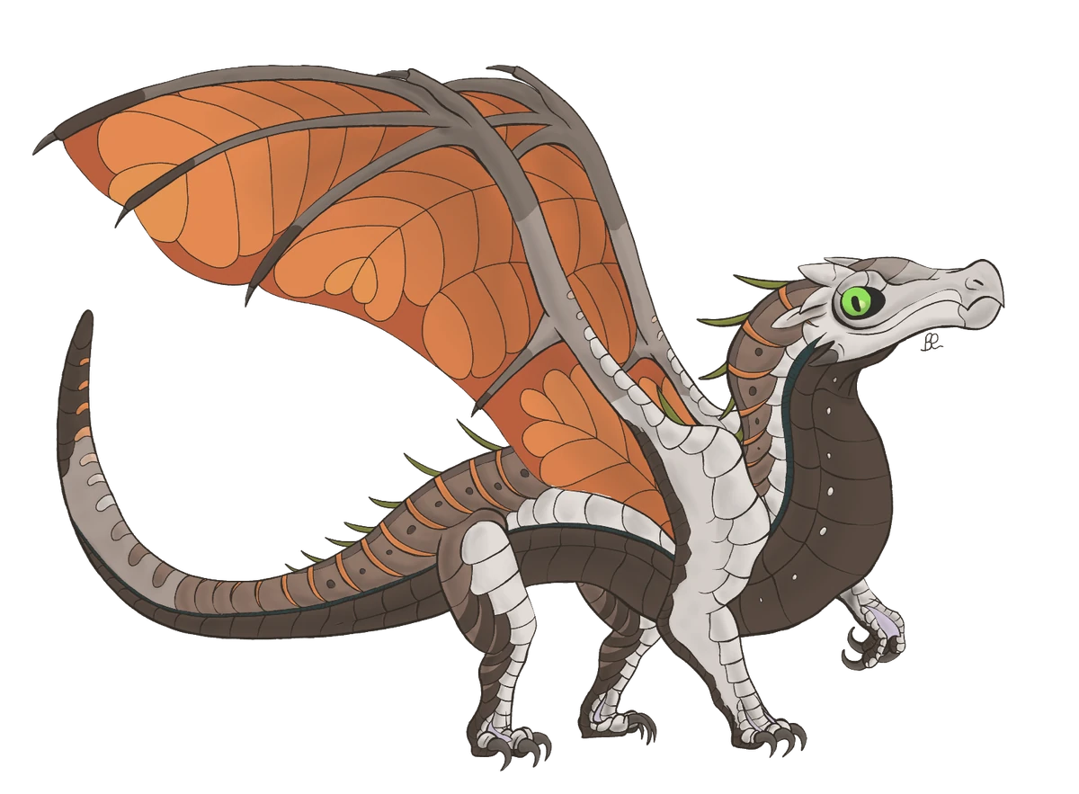 Storm (Bronze) | Wings of Fire Fanon Wiki | Fandom