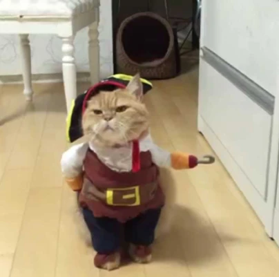 WoF: THE GREATEST GAME SHOW OF ALL TIME! | Wings of Fire Fanon Wiki ...