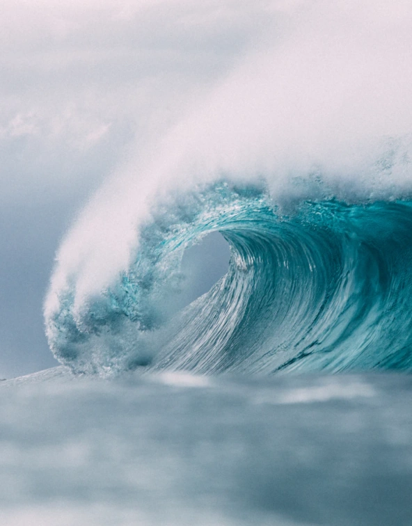 Isonade | Wings of Fire Fanon Wiki | Fandom