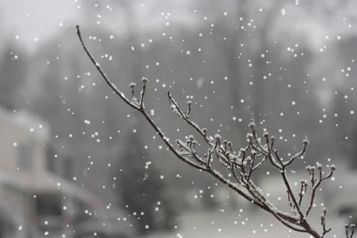Snow Falling Window Gif