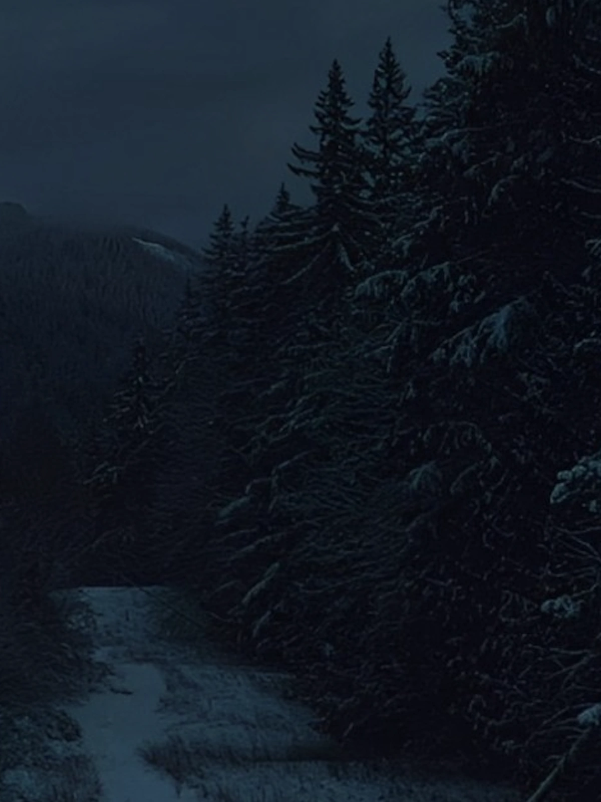 Wulven | Wings of Fire Fanon Wiki | Fandom