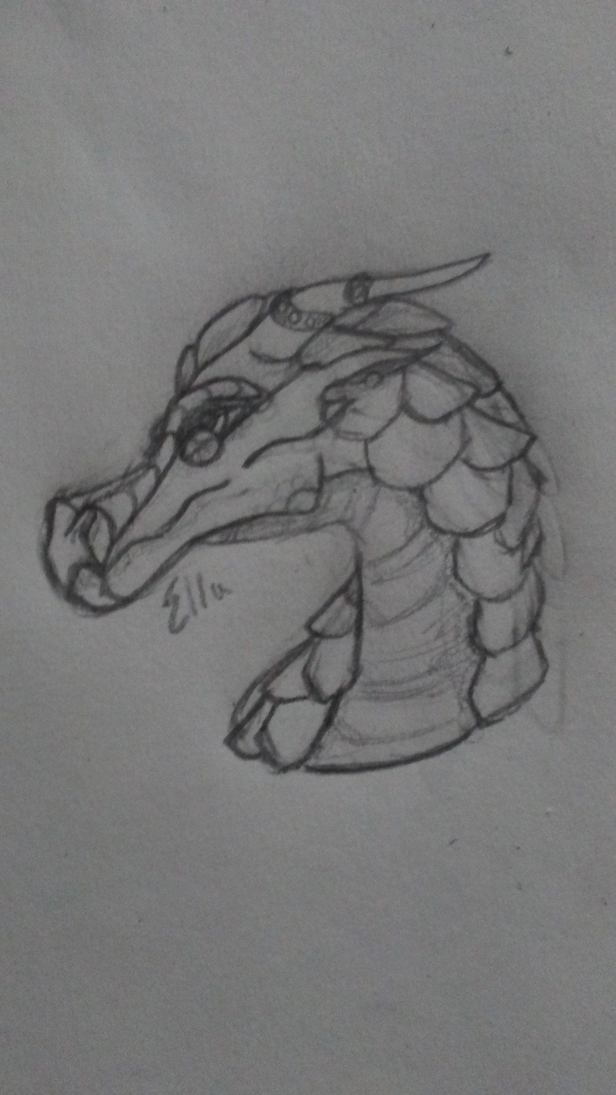 Astro JTGW | Wings of Fire Fanon Wiki | Fandom