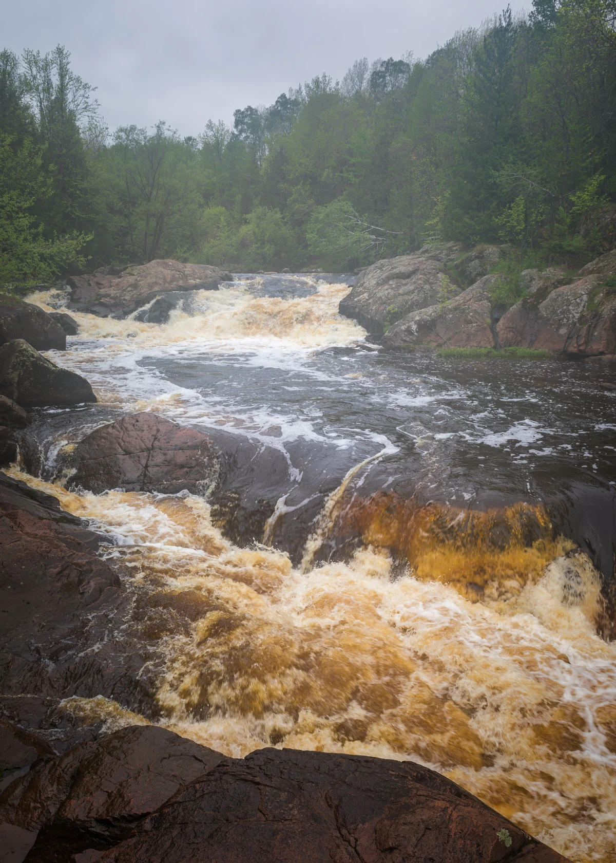 Prince Sable | Wings of Fire Fanon Wiki | Fandom