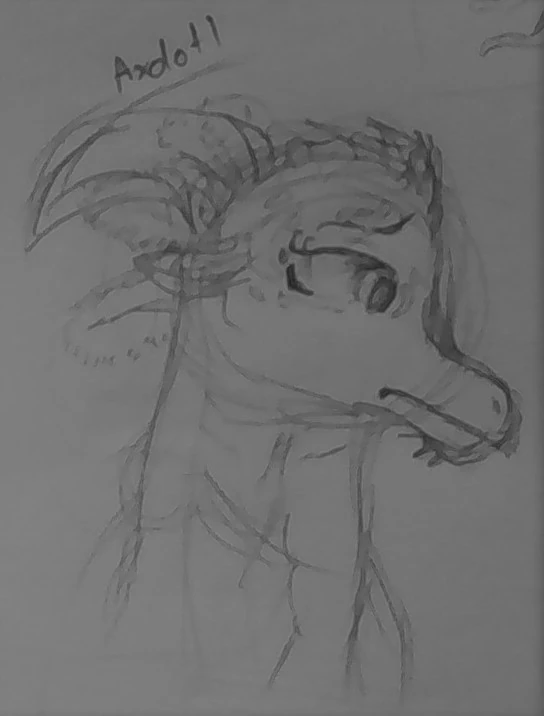 AxoIotI | Wings of Fire Fanon Wiki | Fandom