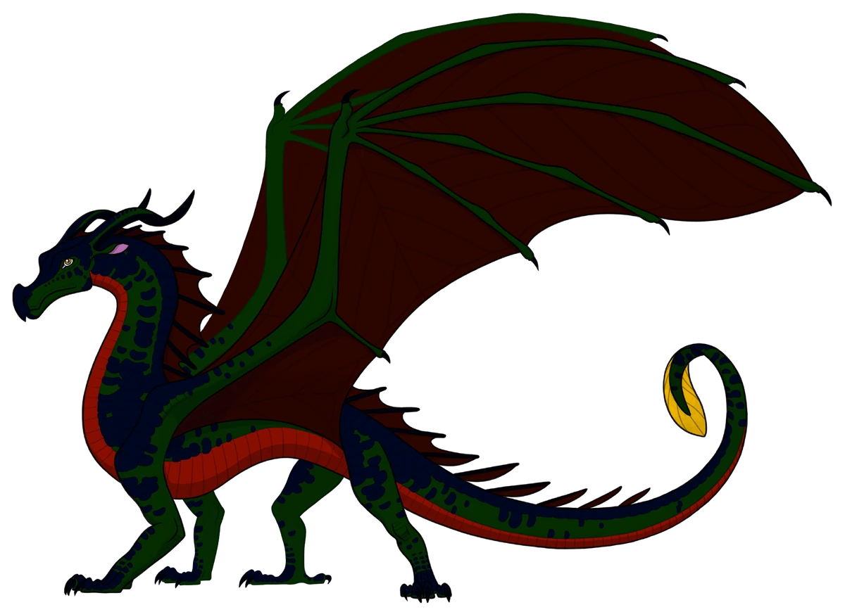 Acatalepsy | Wings of Fire Fanon Wiki | Fandom