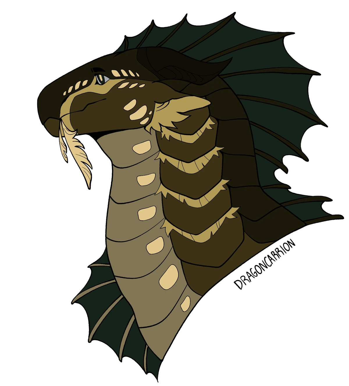 Coast (Roselyn) | Wings of Fire Fanon Wiki | Fandom
