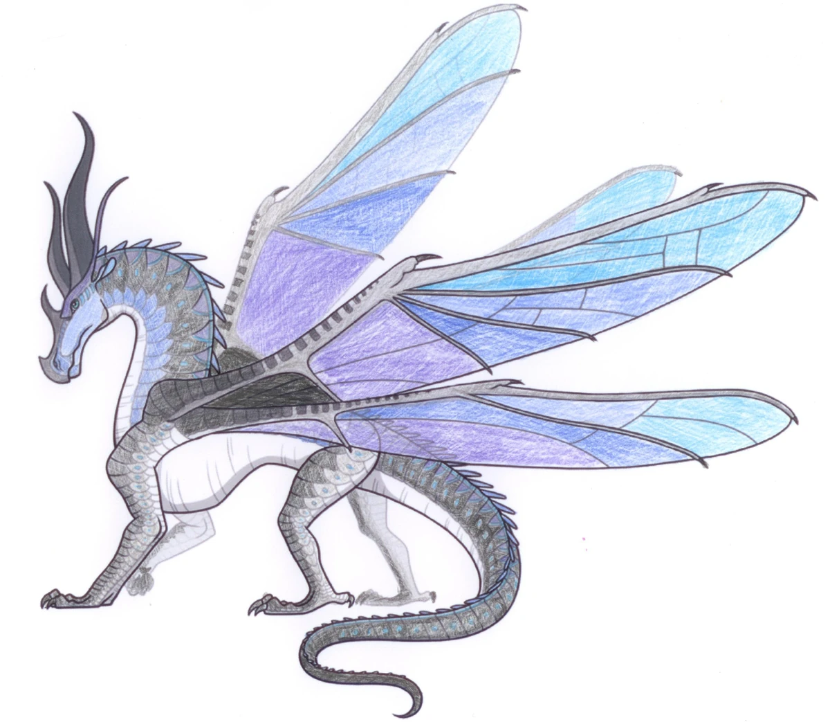 Moon the BeetleWing | Wings of Fire Fanon Wiki | Fandom