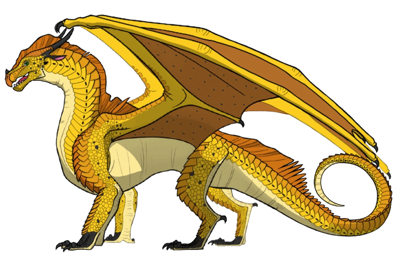 Wings Of Fire Sunny