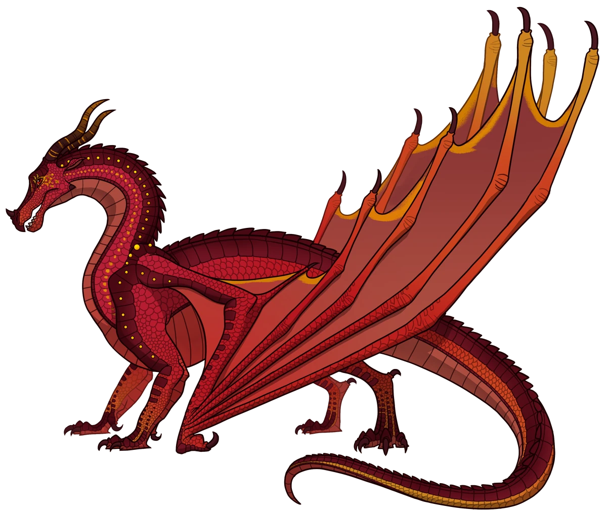 Morning (PM) | Wings of Fire Fanon Wiki | Fandom