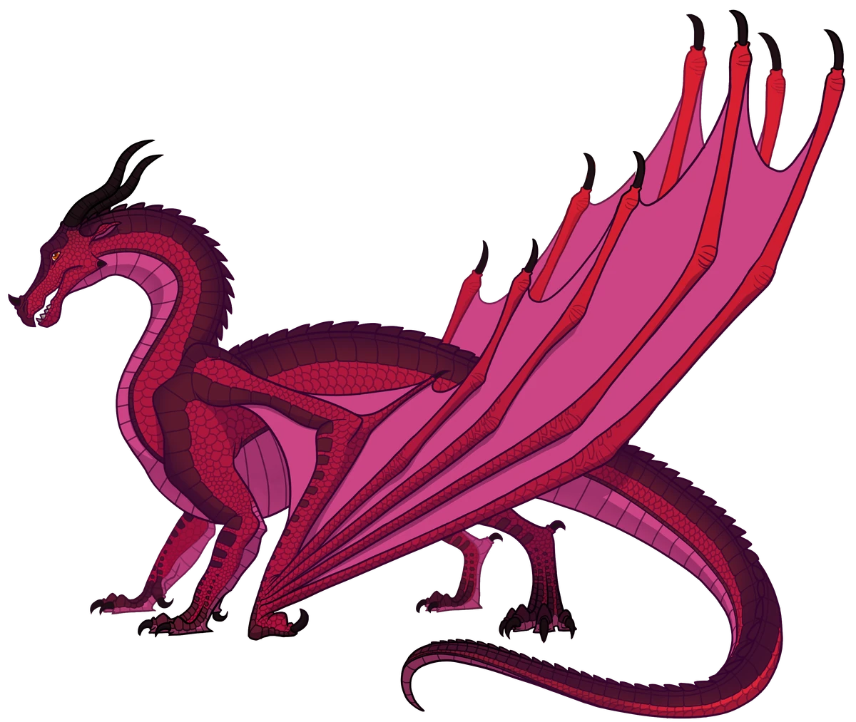 IT WILL NEVER BE IN VAIN | Wings of Fire Fanon Wiki | Fandom