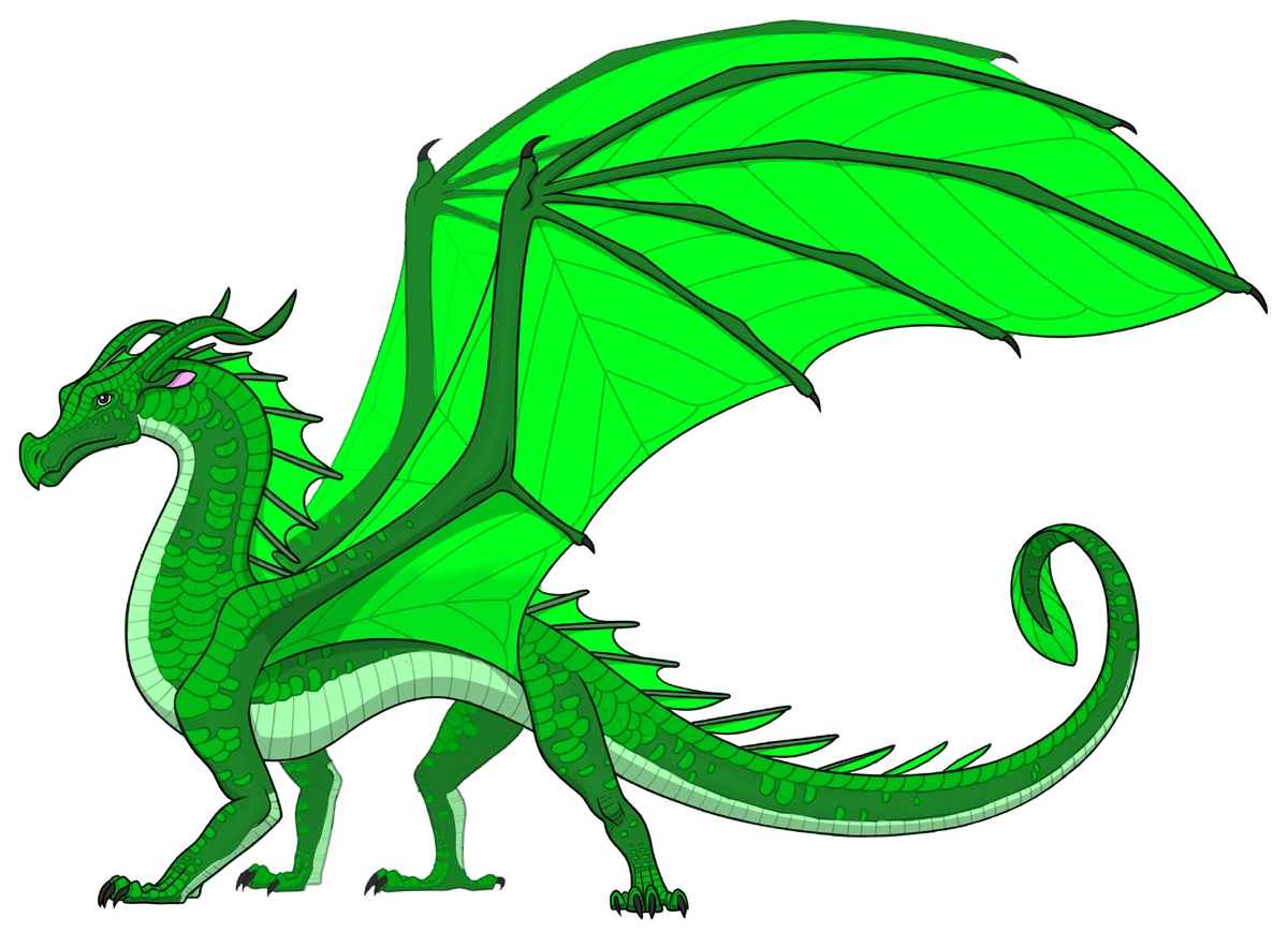 Forestkeeper | Wings-of-Fire-Fans Wiki | Fandom