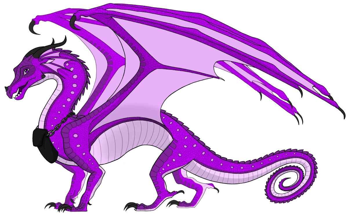 Purple | Wings-of-Fire-Fans Wiki | Fandom
