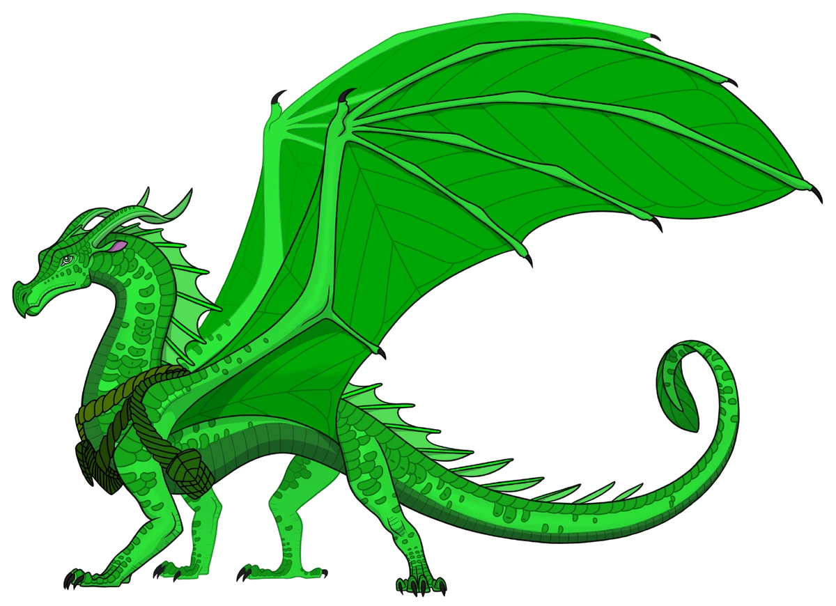 Forest | Wings-of-Fire-Fans Wiki | Fandom