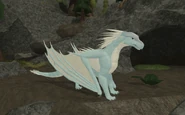 IceWings | Wings of Fire Roblox Wiki | Fandom