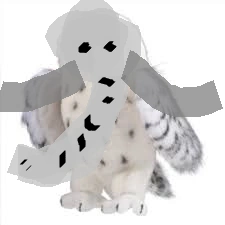 Hoot | Winnie the pooh clubhouse Wikia | Fandom