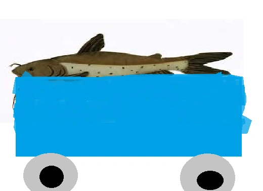 Candy catfish | Winnie the pooh clubhouse Wikia | Fandom