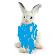Miffy snowshoe hare | Winnie the pooh clubhouse Wikia | Fandom