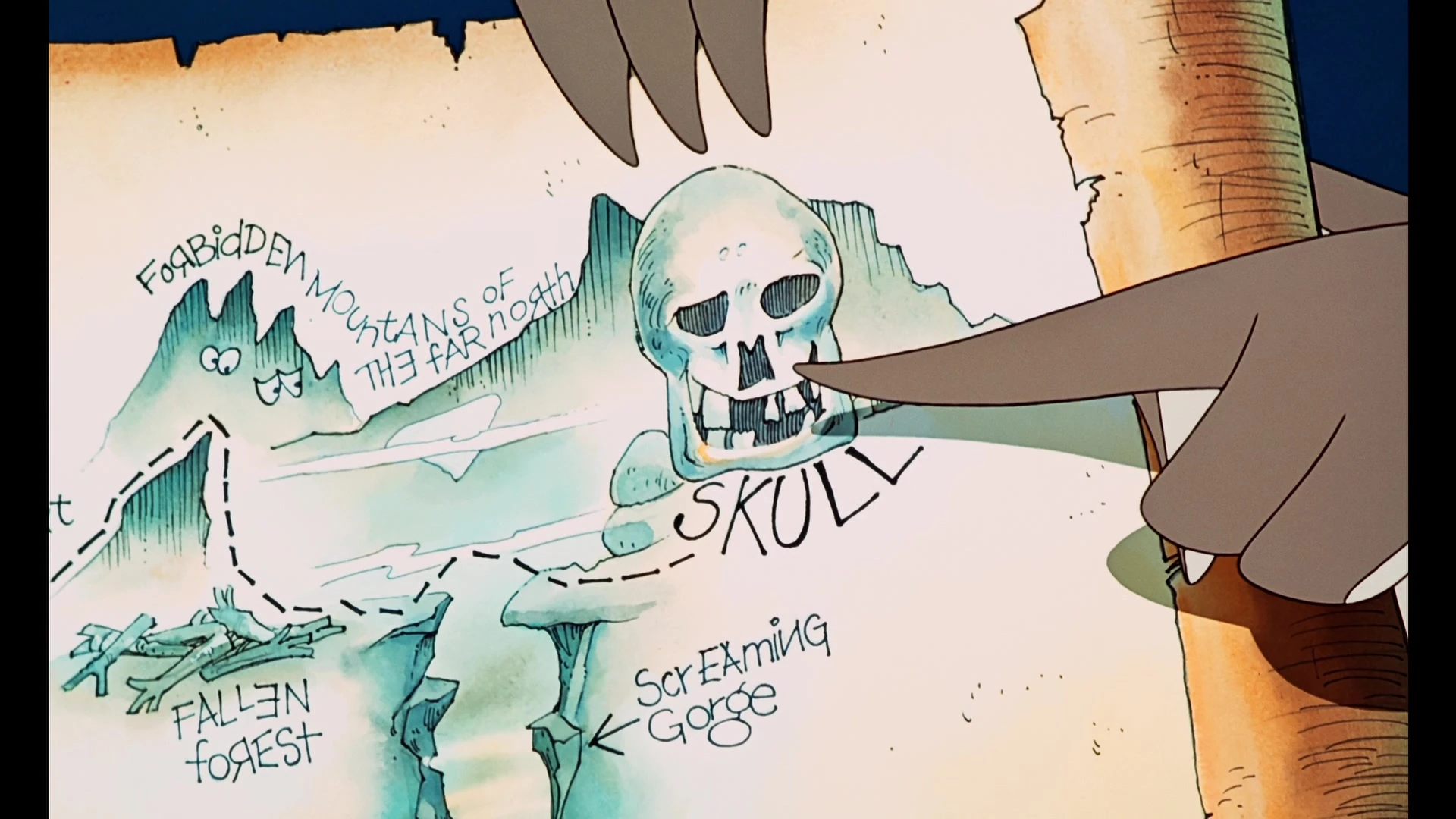 Skull | Winniepedia | Fandom