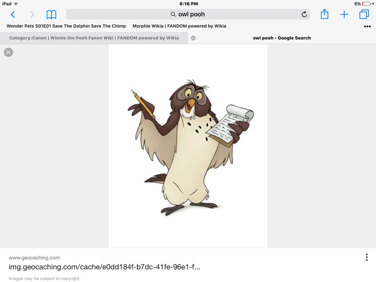 Owl | Winnie the Pooh Fanon Wiki | Fandom