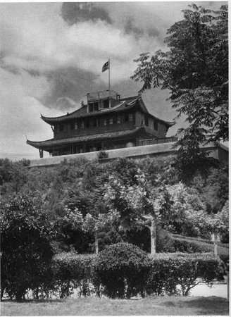 Nanjing | Winter Begonia Wiki | Fandom