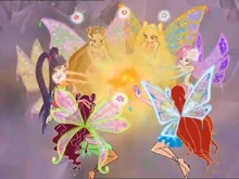 Clube das Winx | Winx Club BR Wiki | Fandom