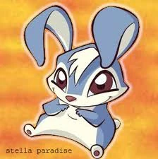 Kiko | Winx Club Wiki | Fandom