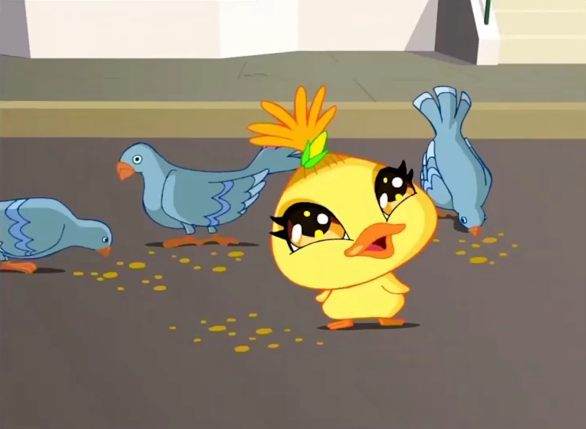 Chicko | Winx Club Wiki | Fandom