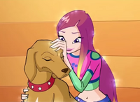Roxy/Series | Winx Club Wiki | Fandom