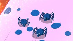 Spider | Winx Club Wiki | Fandom