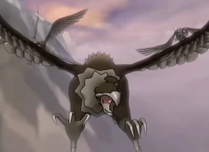 Griffin | Winx Club Wiki | Fandom