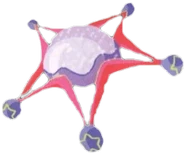 Water Star | Winx Club Wiki | Fandom