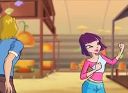 Frutti Music Bar | Winx Club Wiki | Fandom
