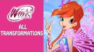 Fairy Form | Winx Club Wiki | Fandom