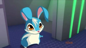 Kiko | Klub Winx Wiki | Fandom