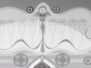 Nymph | Winx Club Wiki | Fandom