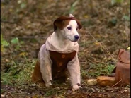 Wishbone (character) | Wishbone Wiki | Fandom