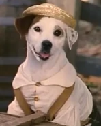 Wishbone (character) | Wishbone Wiki | Fandom