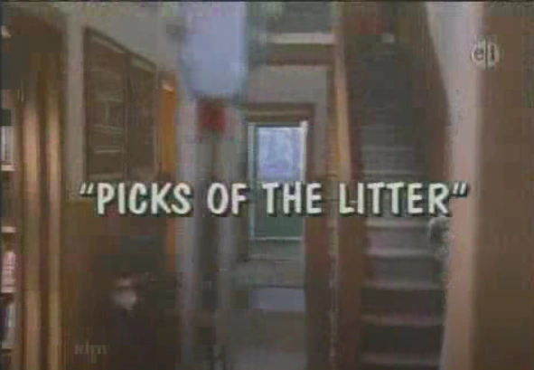 Picks of the Litter | Wishbone Wiki | Fandom