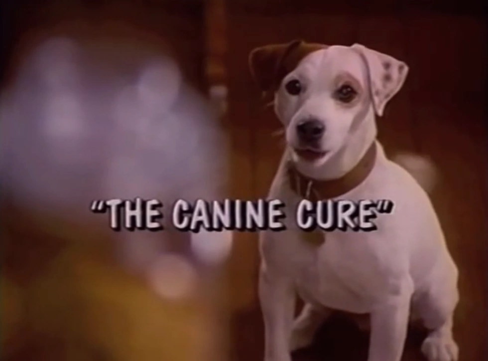The Canine Cure | Wishbone Wiki | Fandom