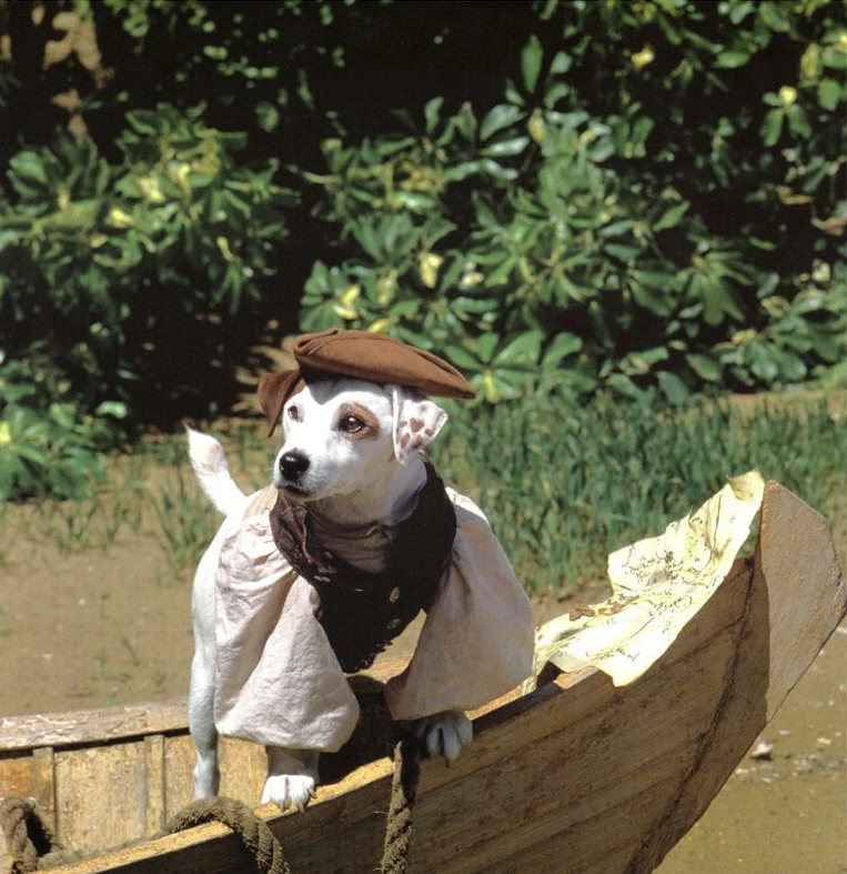 Jim Hawkins | Wishbone Wiki | Fandom