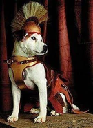 Wishbone (character) | Wishbone Wiki | Fandom