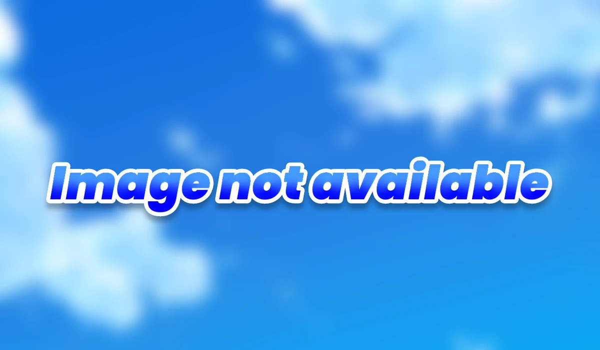 Summer Wishcat | Wishcat fanon Wiki | Fandom