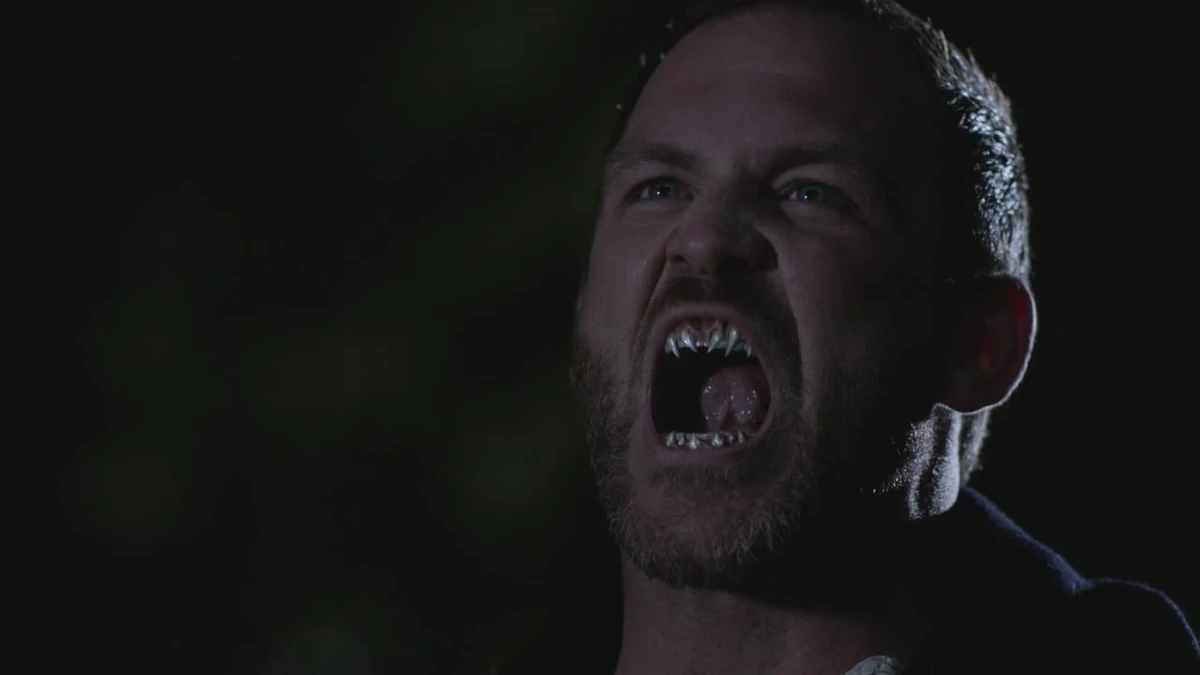 Welcome to Witch Country | Witch Country Wiki | Fandom