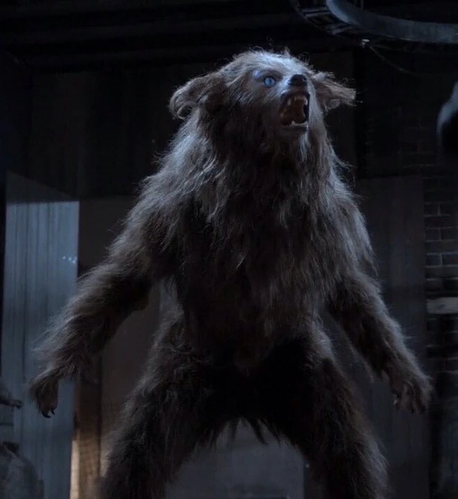 Zeta Werewolf | Witch Country Wiki | Fandom