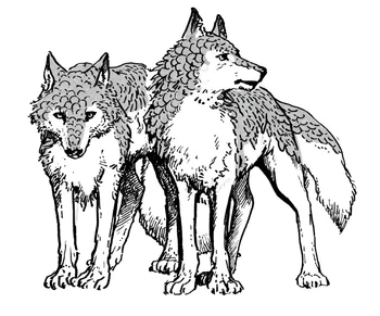 Scalewolf | Witch Hat Atelier Wiki | Fandom